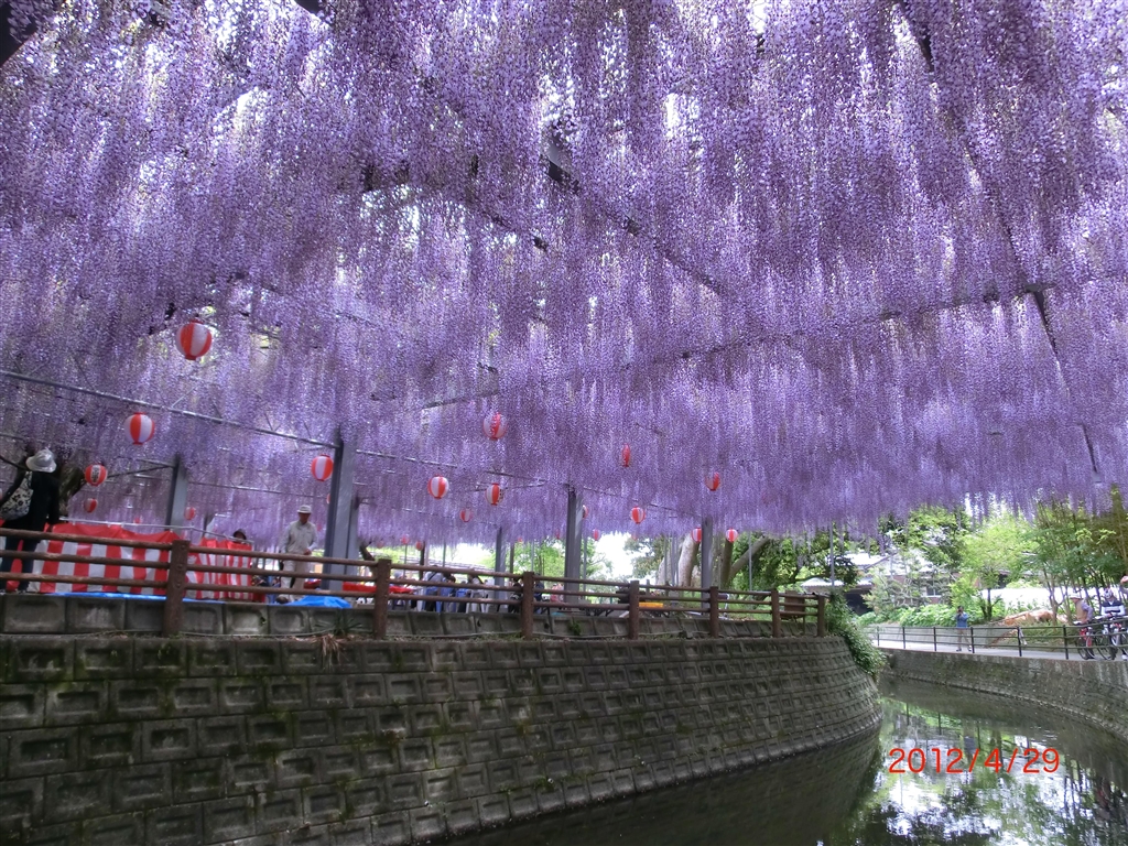 価格.com - 『藤EX-H30』ペンタックス Optio RZ18 乙種第四類さん のクチコミ掲示板投稿画像・写真「メタリックオレンジのみ ...