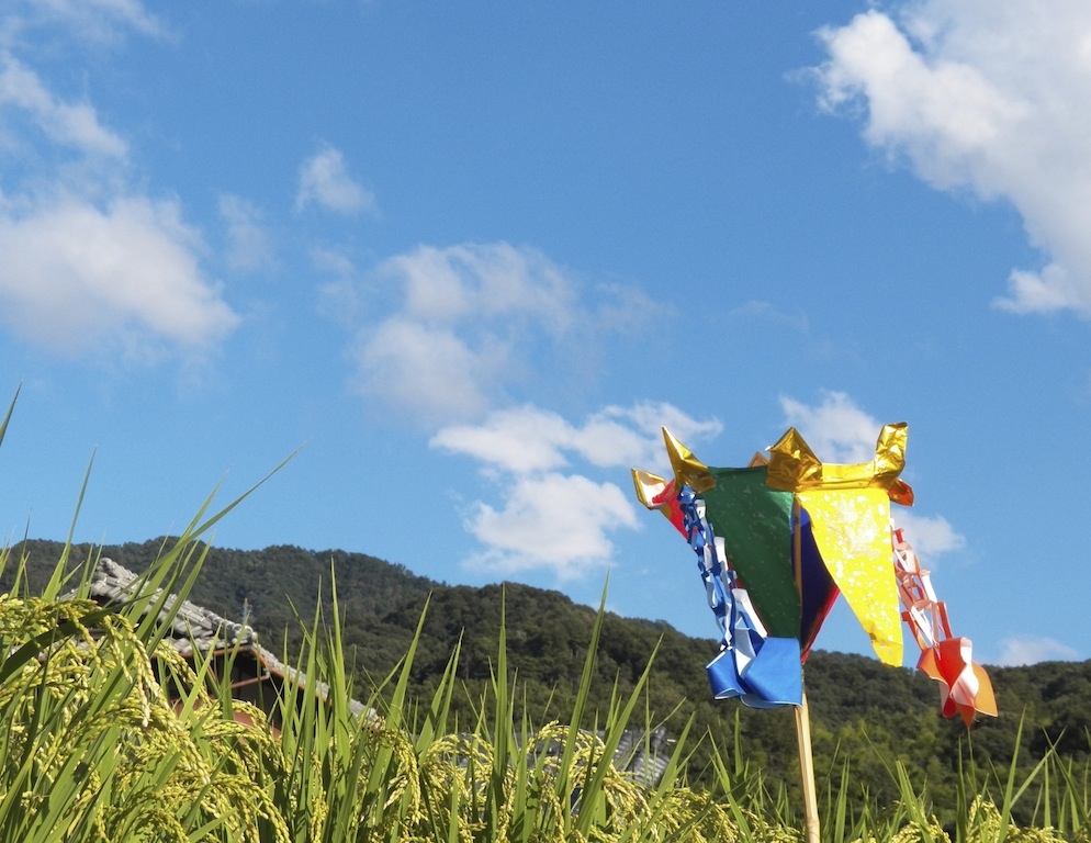 価格.com - コダック EasyShare Z990 MOXLさん のクチコミ掲示板投稿画像・写真「Kodak easyshare Max ...