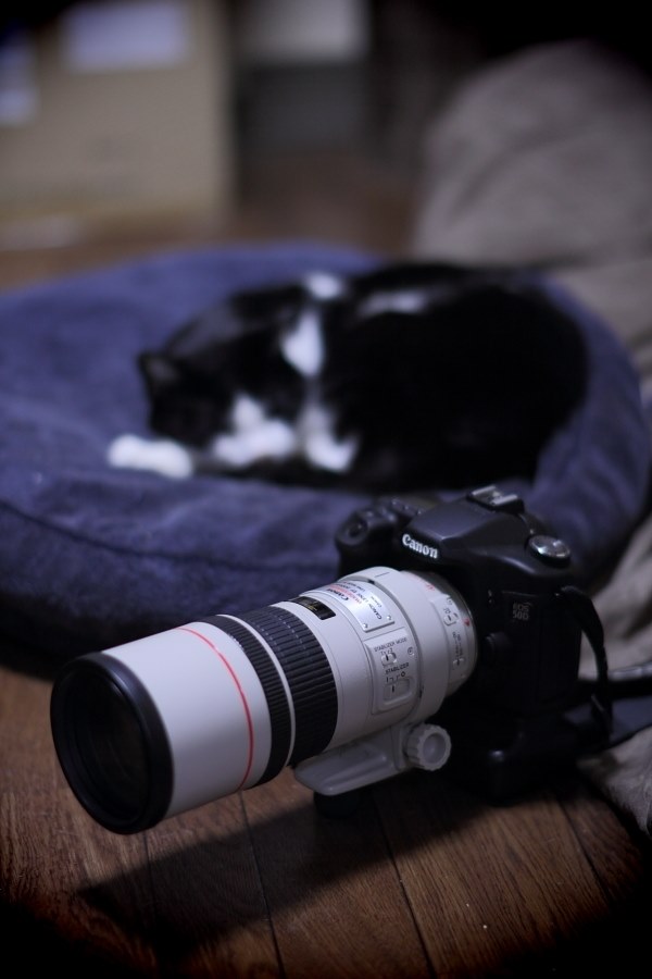 フルサイズの優位性』 CANON EOS 5D Mark II ボディ のクチコミ フルサイズの優位性』 CANON EOS 5D Mark II ボディ のクチコミ