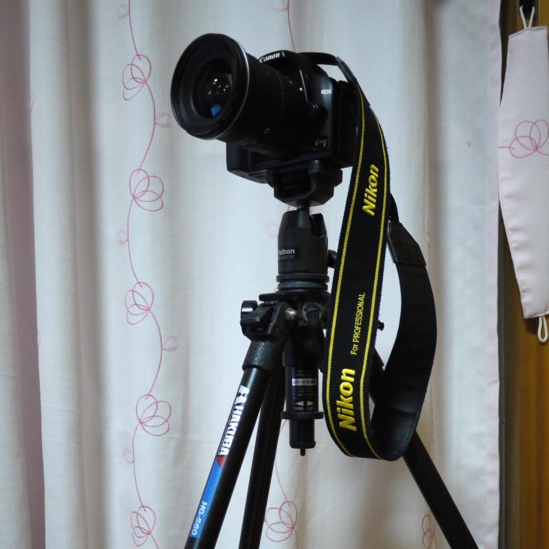 ストラップについて』 CANON EOS 5D Mark II ボディ のクチコミ ストラップについて』 CANON EOS 5D Mark II ボディ のクチコミ